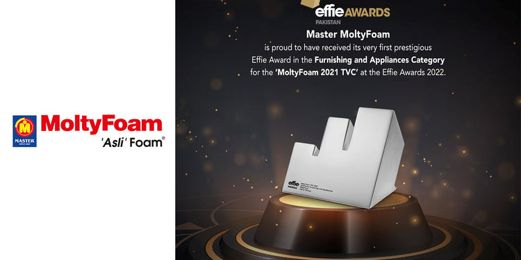 A Carbon Negative Group of Pakistan– Master Group of Industries